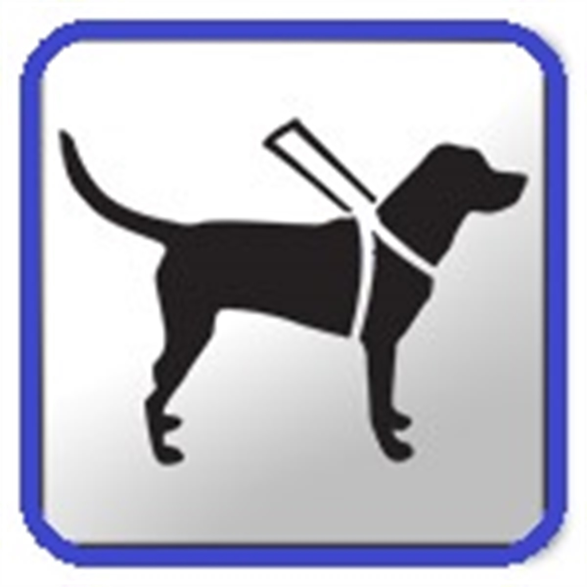 Assistance Animals | Glenelg Shire Council